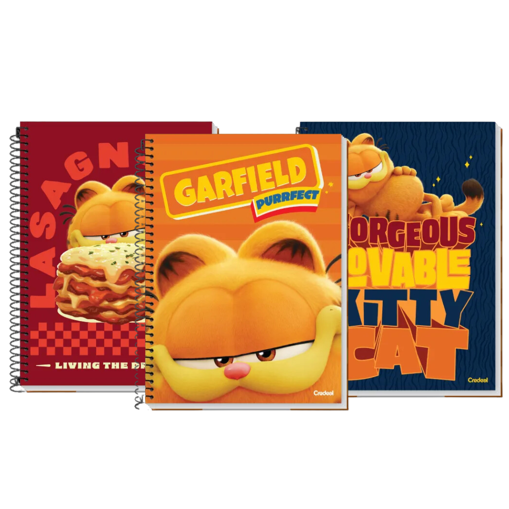 Caderno Universitário Capa Dura 10 Matérias 160 Folhas Garfield CREDEAL ...